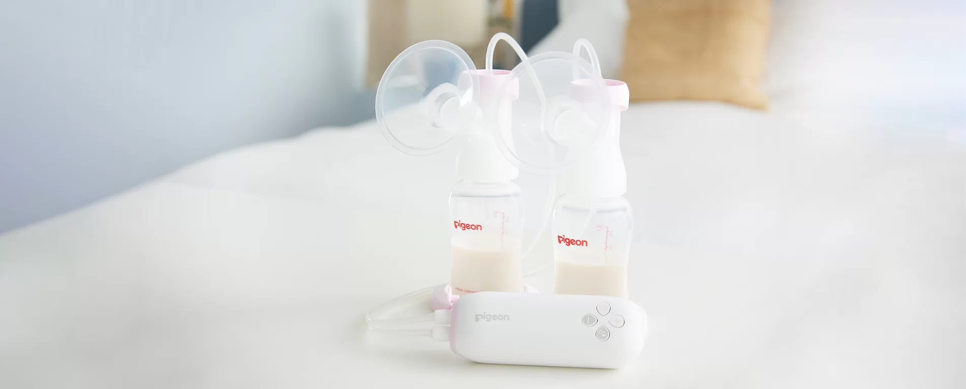 gomini – Pigeon Philippines